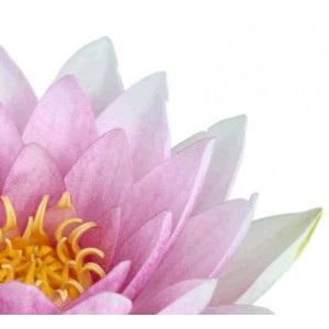 MULTIFLOR AURORA 30 ML. FLOR MEDITERRANEO - BioGloria